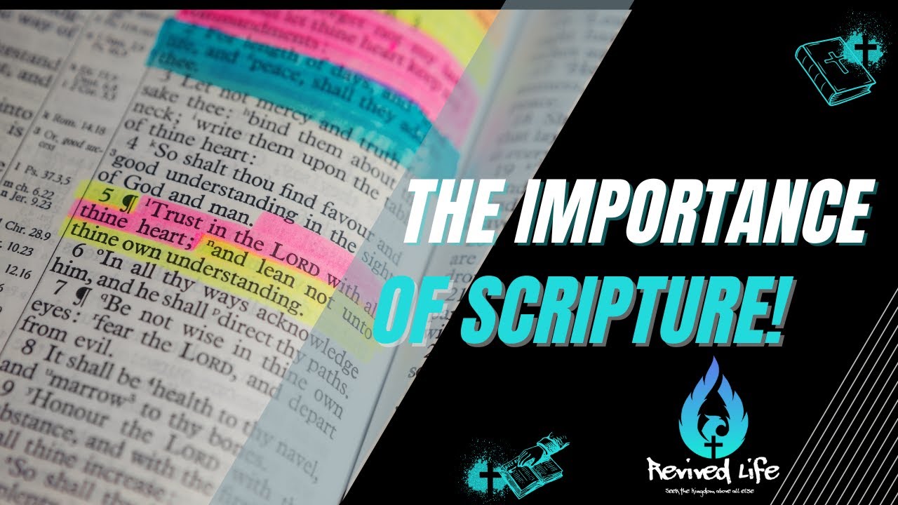 Why read the bible? Why it is important to know scripture! - YouTube