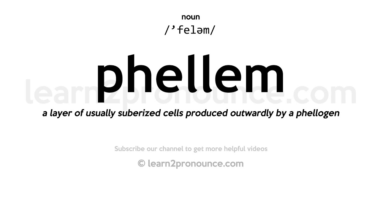 Pronunciation of Phellem | Definition of Phellem - YouTube