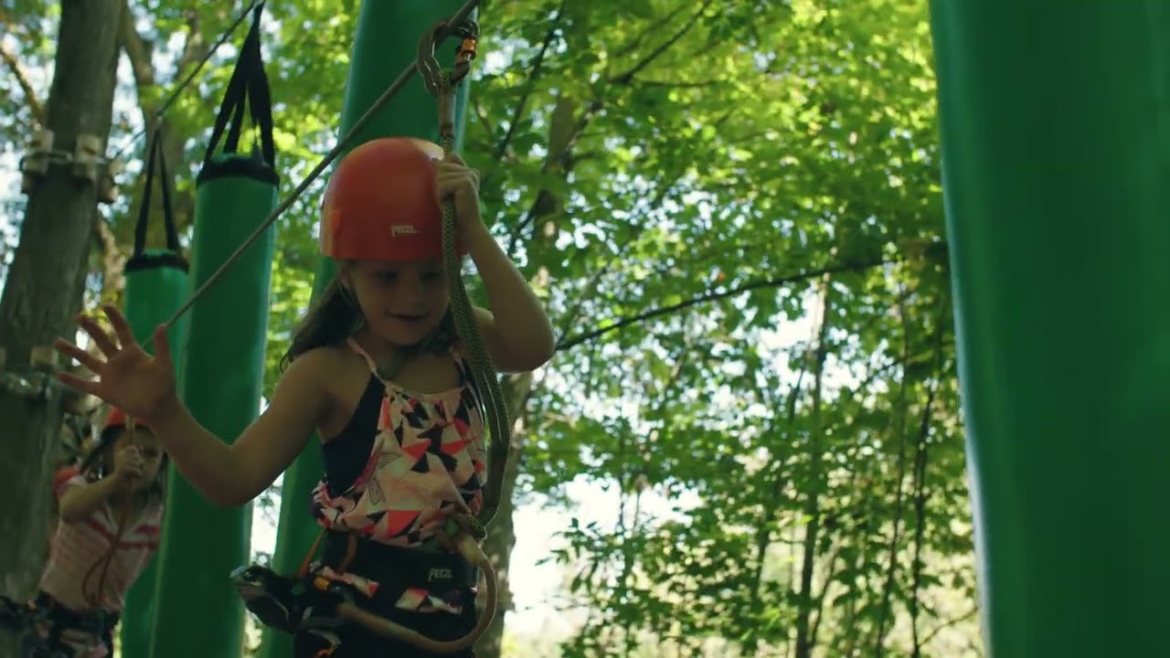 Treetop Trekking | Discovery Course Activity - YouTube