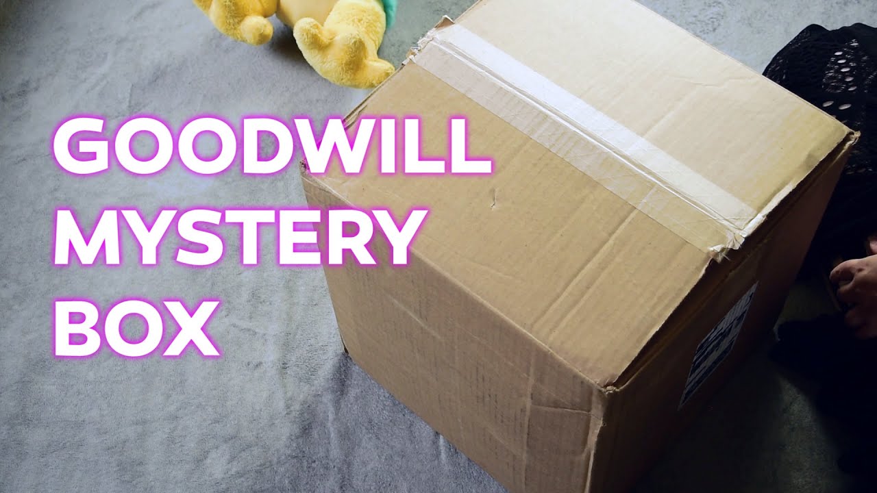 Unboxing a Goodwill Plushie Mystery Box - YouTube