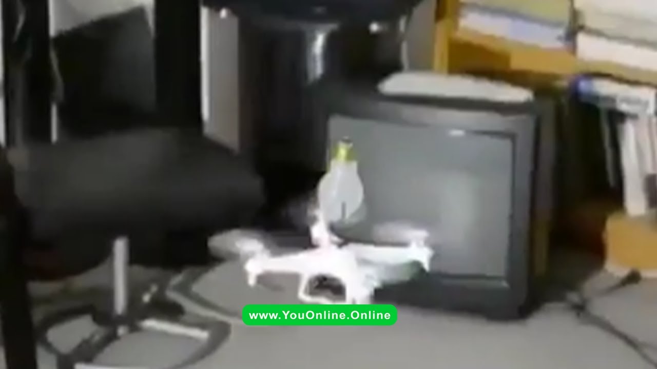 Drole - YouTube