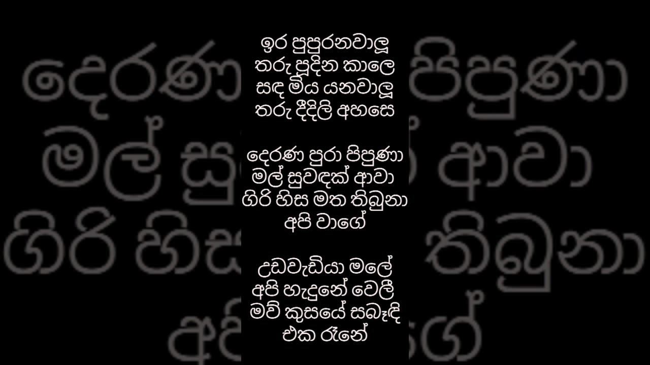 Udawadiya male Lavan Abishek song lyrics - YouTube