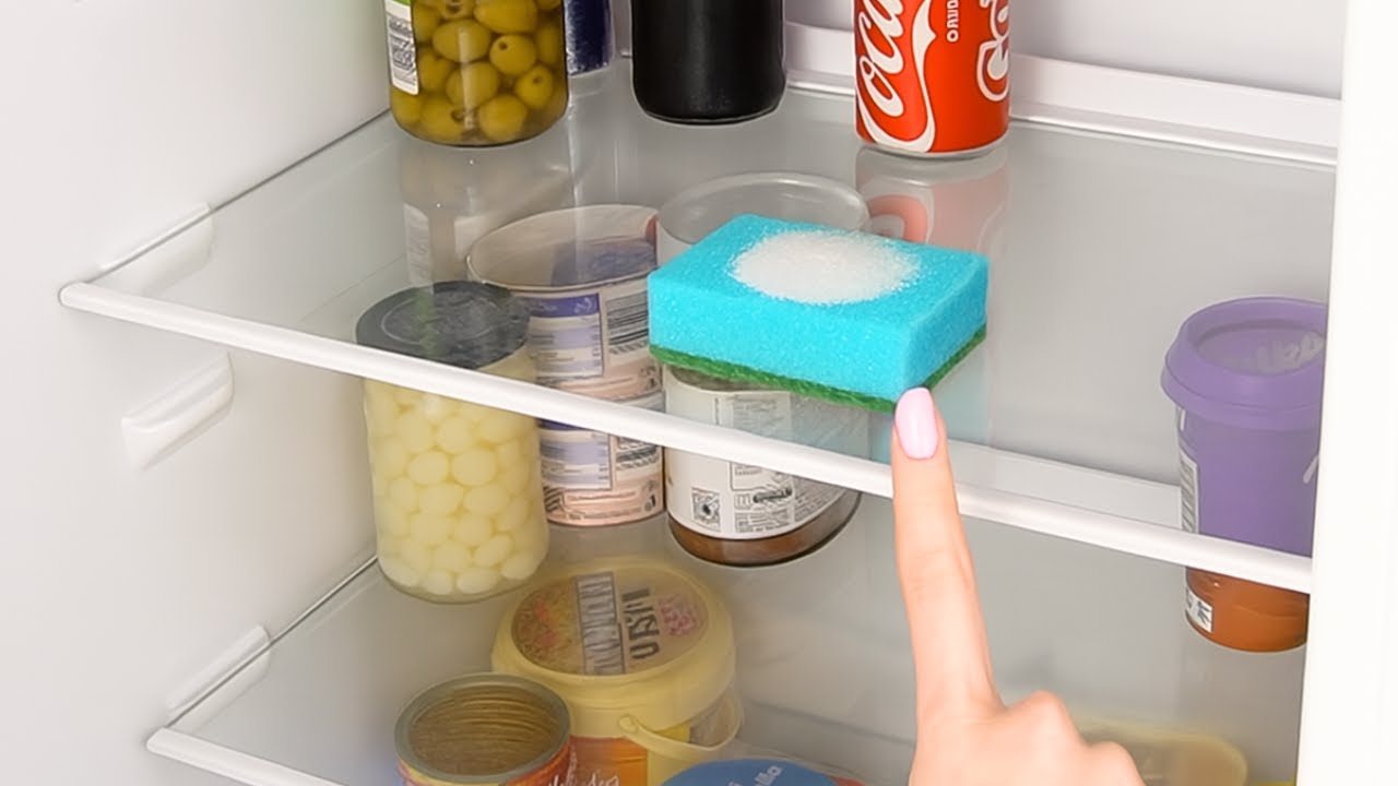 Put This in Your Fridge During Summer. It Gets Rid of Stink and ...