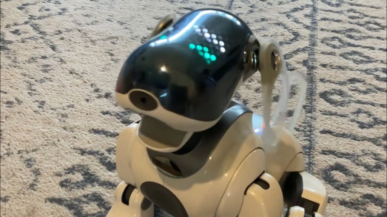 Toby My Aibo ERS-7 Is Finally Home After 3 Months!! - YouTube