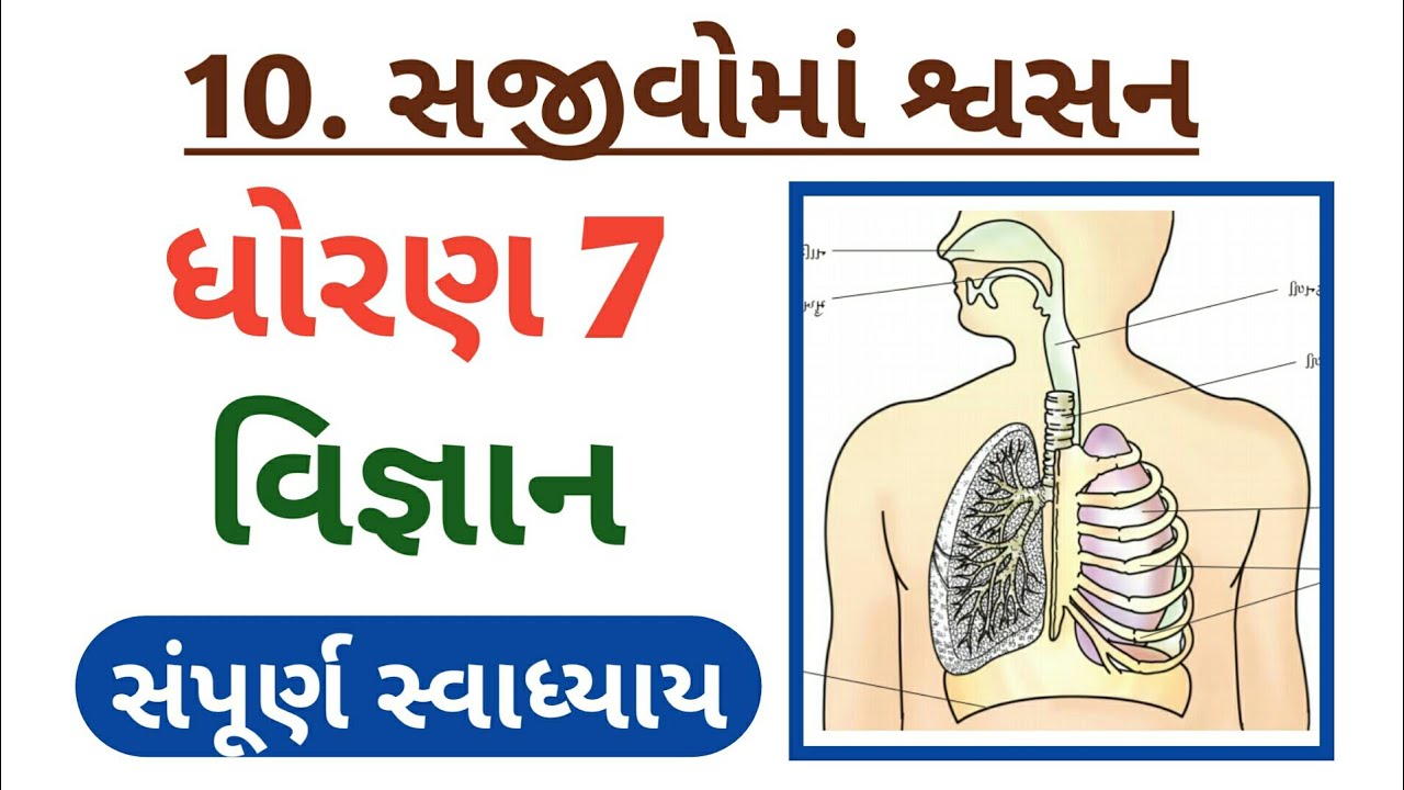 સજીવોમાં શ્વસન ધોરણ 7 વિજ્ઞાન સ્વાધ્યાય | Sajivoma Svasan Std 7 Science ...