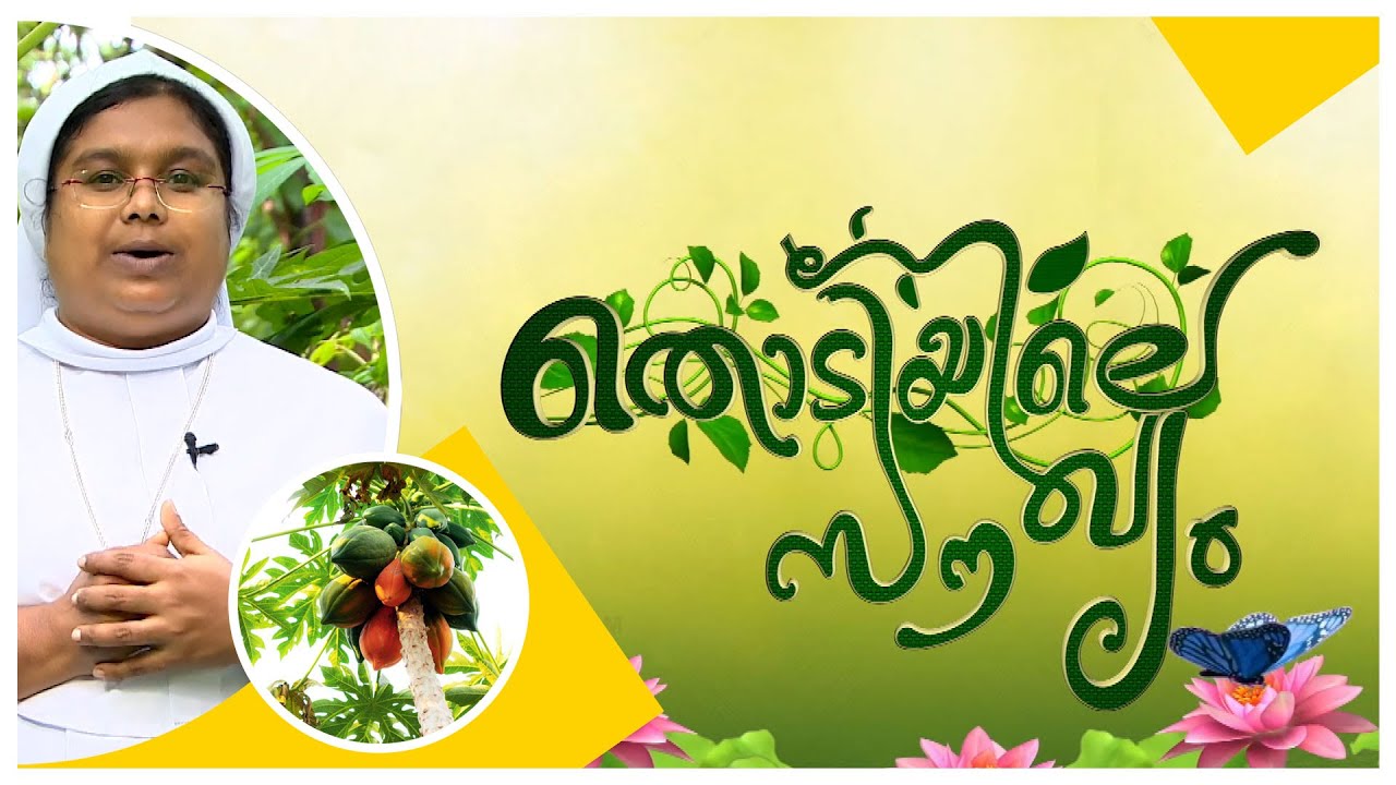 Thodiyile Soukhyam | EPS:29| Pappaya | Dr Sr Tintu George | FEBRUARY-02 ...