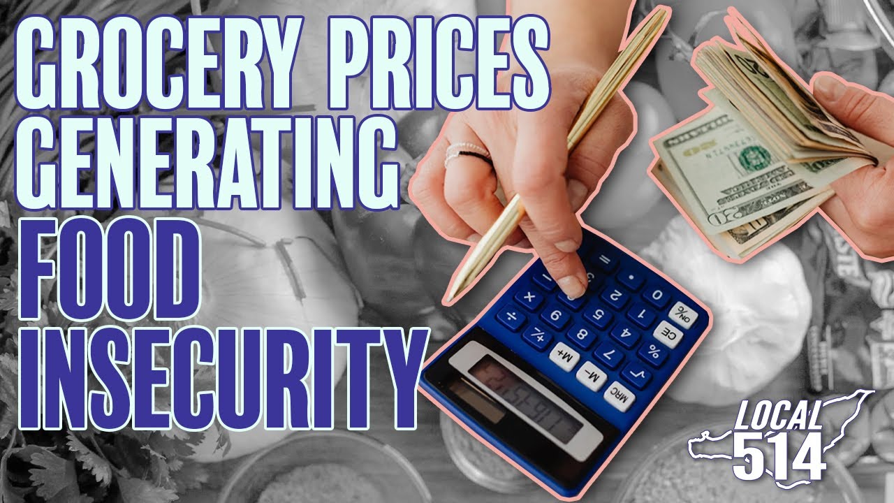 Inflation: Rising Grocery Prices, Food Insecurity and Corporate ...