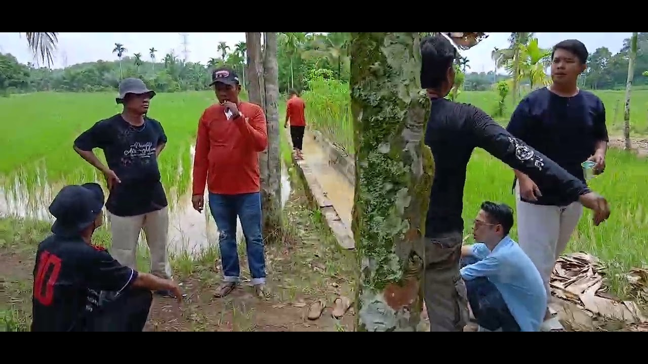 [11 Oktober 2025] Pengecekan lokasi persawahan di Jorong Bunga Tanjung ...