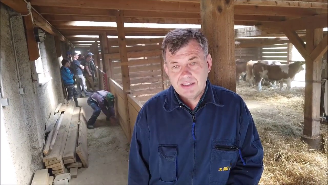 Junice na VGUK - YouTube