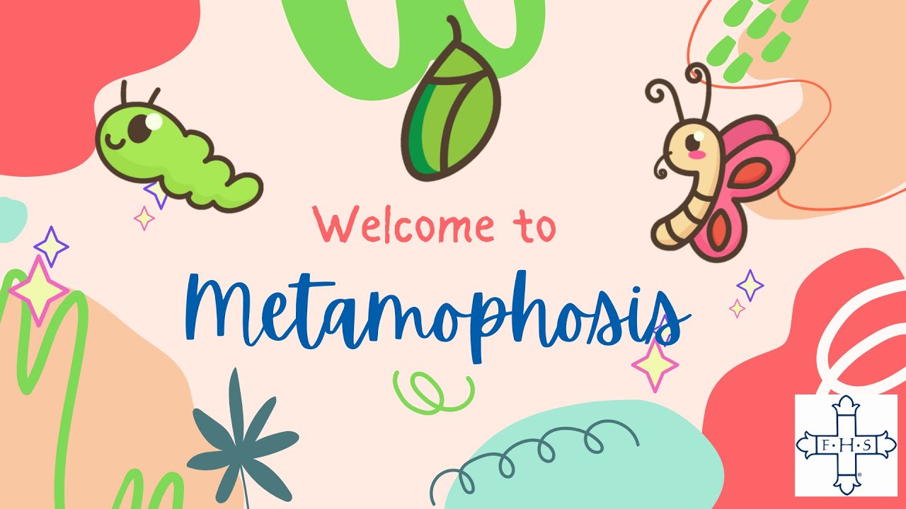 Introduction to the Metamorphosis Program - YouTube