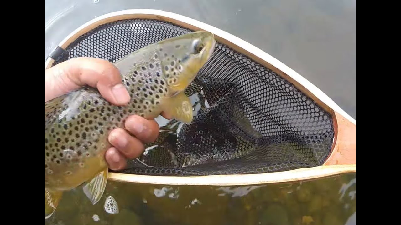 Fly Fishing- Chasing Them Brown's - YouTube