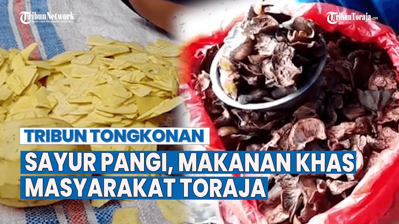 Buah Pangi, Daging Luar jadi Sayur, Daging Dalam jadi Bumbu Makanan ...
