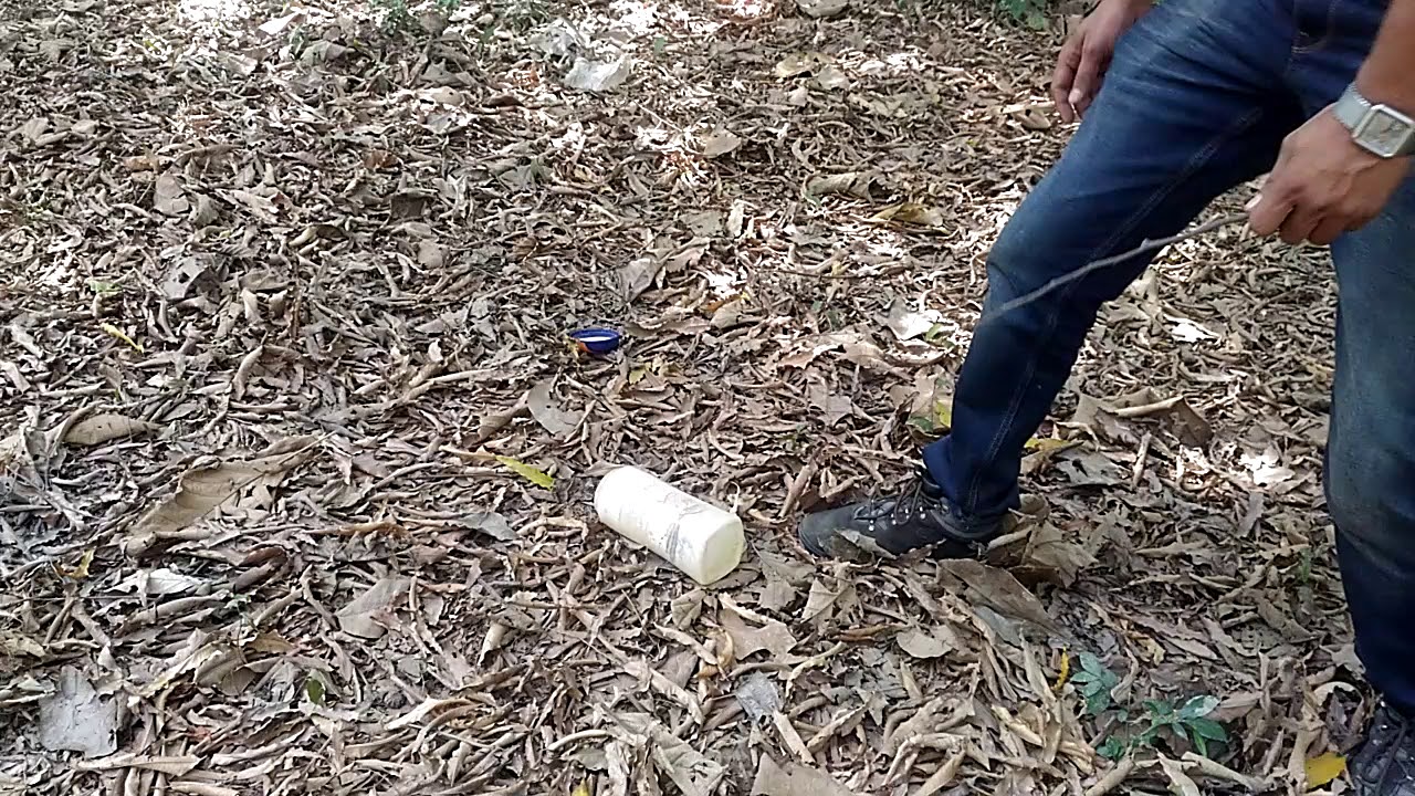 Snake rescue - YouTube