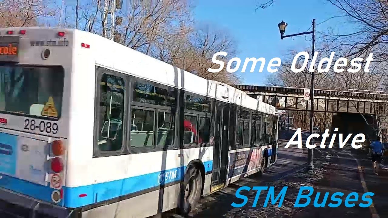SOME OLDEST ACTIVE STM BUSES FEBUARY 2024 + SOME STL RTL - YouTube