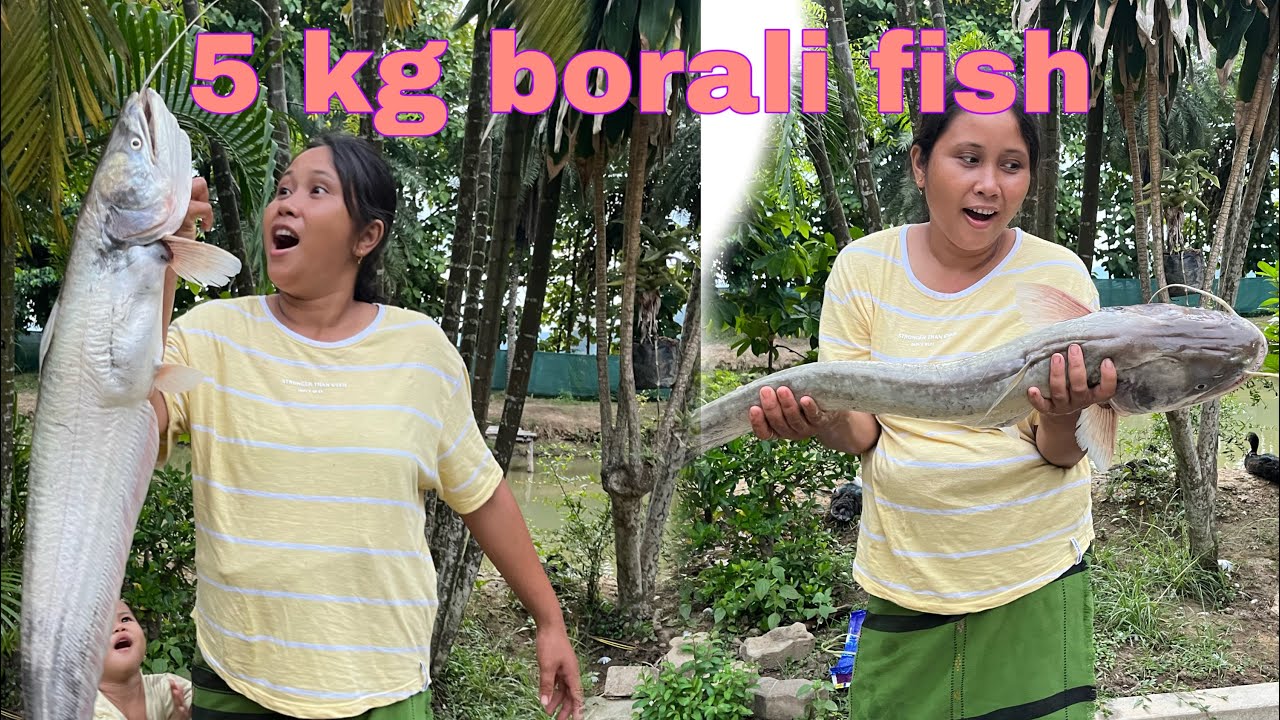 Cutting and Cooking big Borali fish ||SEKETA OAK - YouTube