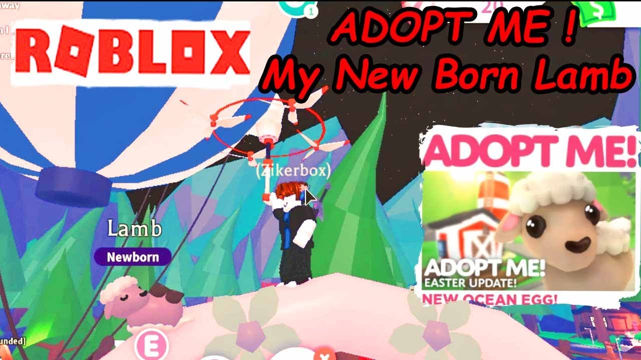 My New Born Lamb in Adopt Me! | ROBLOX - YouTube
