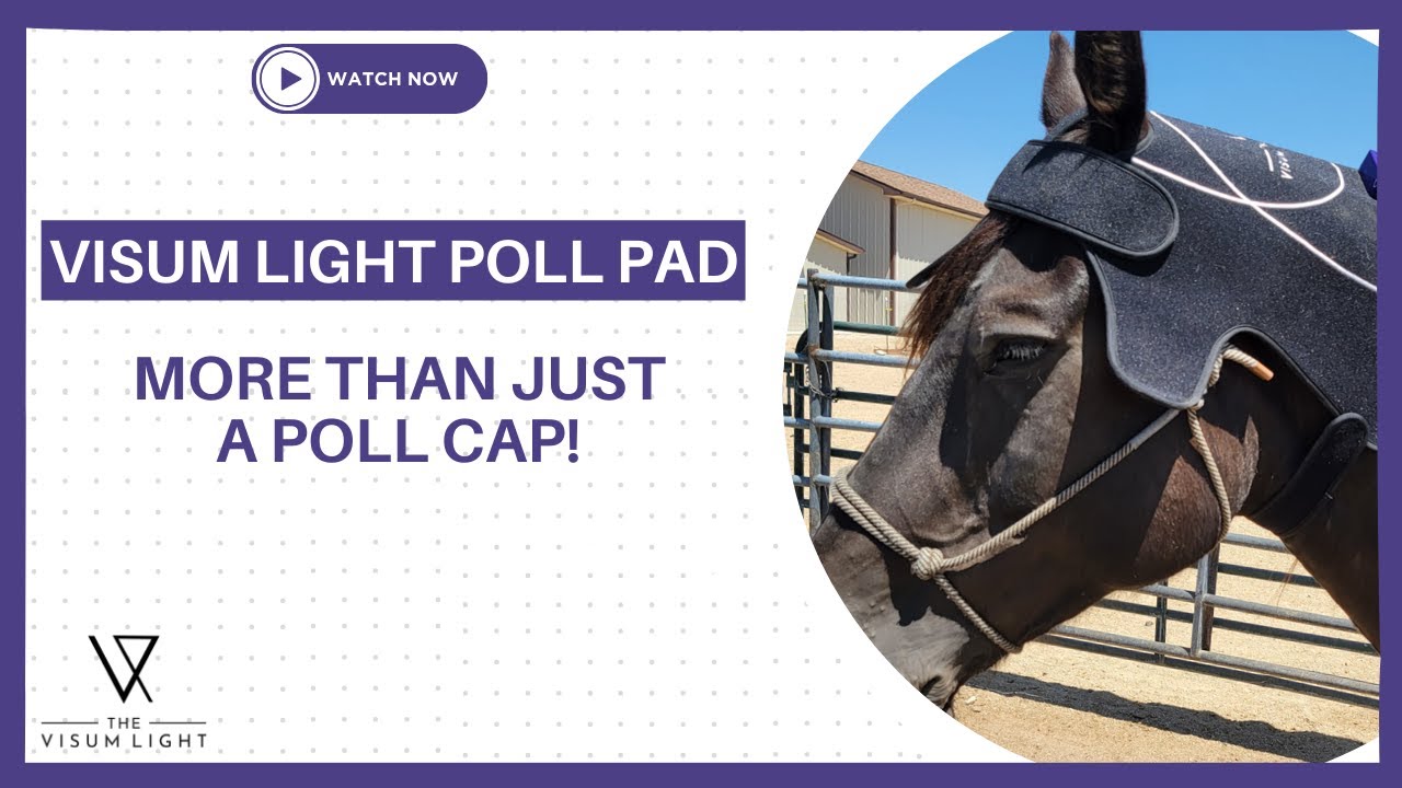 The Visum Light Poll Pad - Way More Than a Poll Cap and Here Is Why ...