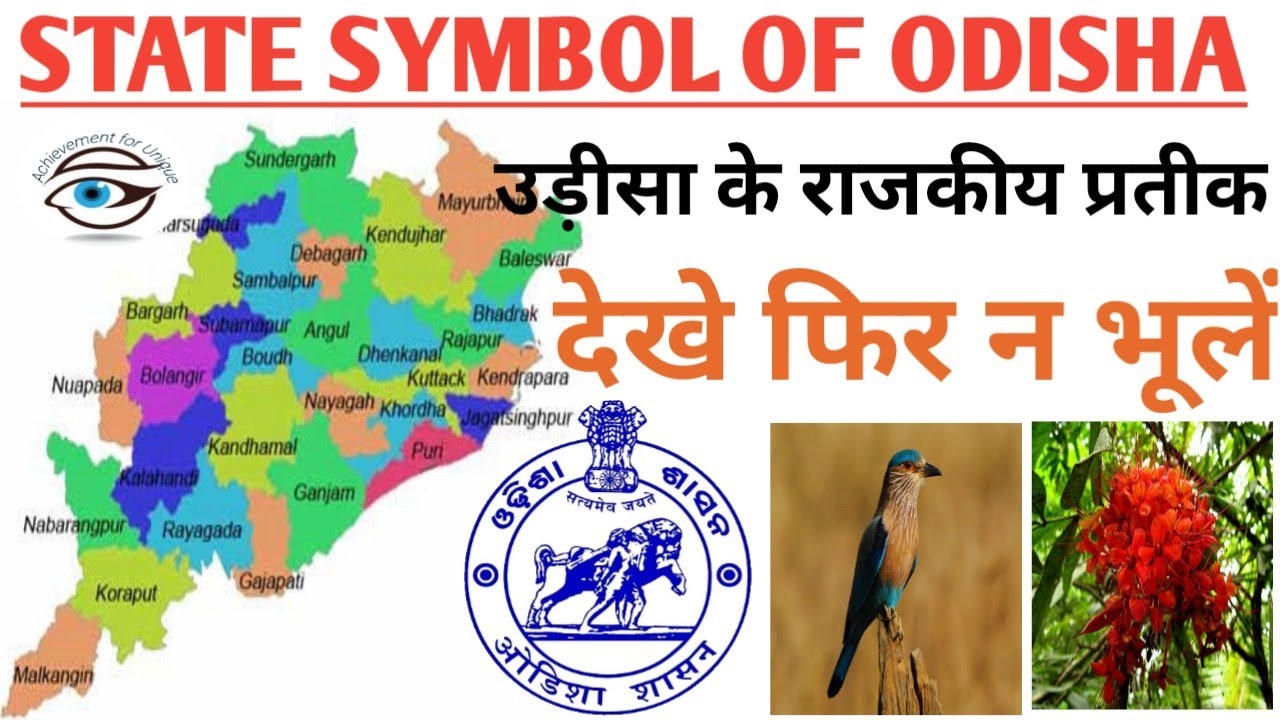 उड़ीसा के राजकीय प्रतीक||STATE SYMBOL OF ODISHA||Most Important Fact ...