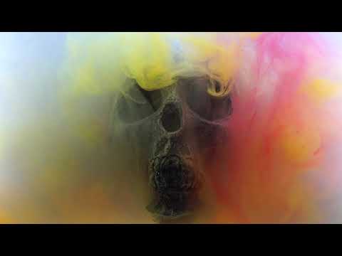 Crane Horror // Free // Free video #VIDEOFREE #HORROR Tête de mort