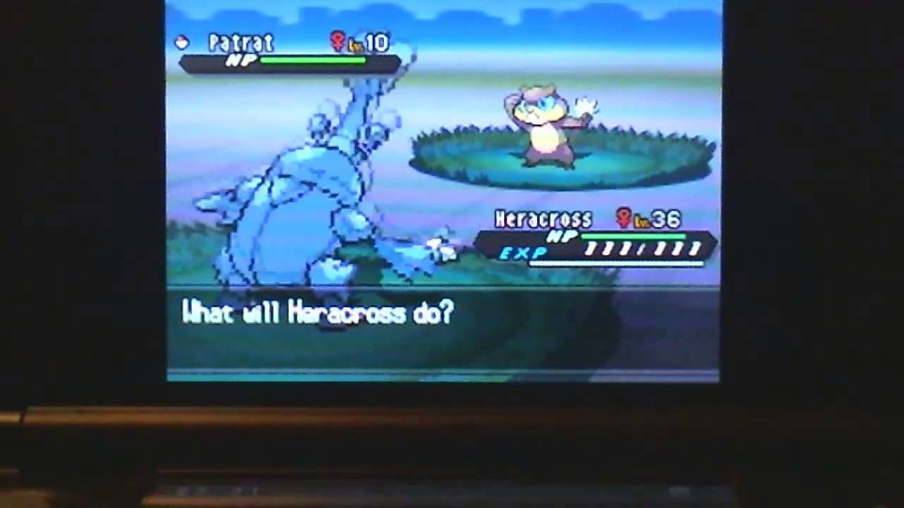 (Live) Shiny Patrat (#2) - Pokemon Black Version 2 (14,844 REs; Phase 9 ...