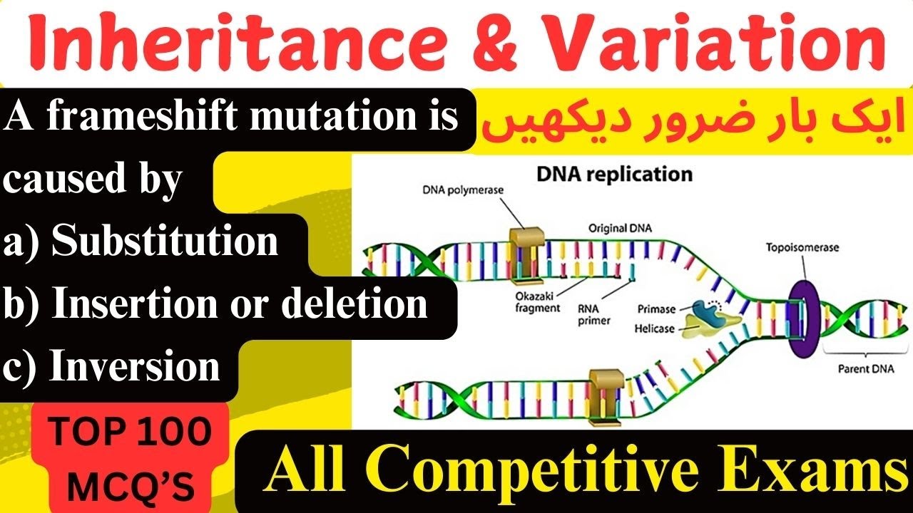 Inheritance Variation Mcq s Part 2nd Inheritance Mcq s Variation Inheritance Variation Mcq s Part 2nd Inheritance Mcq s Variation