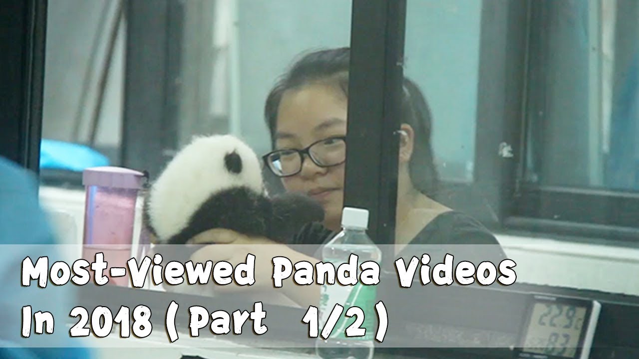 Most-Viewed Panda Videos In 2018(Part 1/2) | iPanda - YouTube