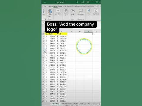 Excel tip to add image or company logo to spreadsheet - YouTube
