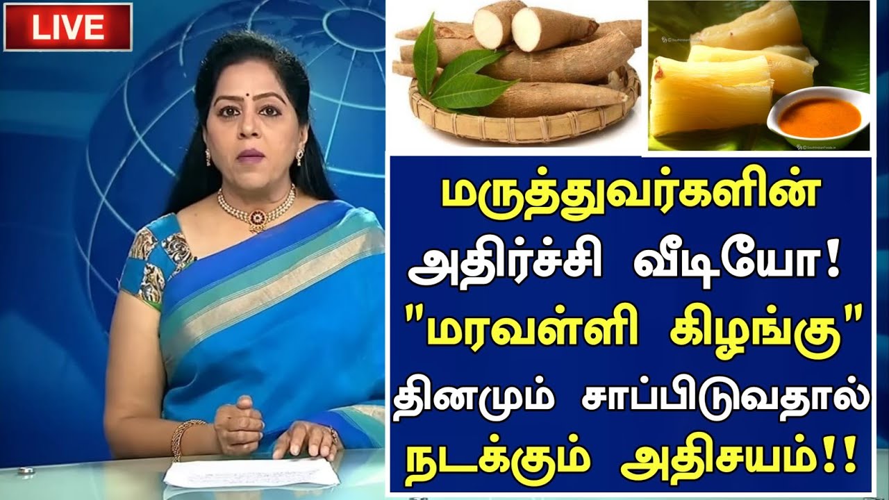 மரவள்ளி கிழங்கு அதிர்ச்சி தகவல்!|Benefits of maravalli Kilangu in Tamil ...