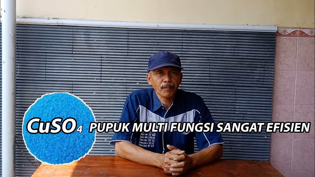 CuSO4 / TERUSI PUPUK MULTI FUNGSI DENGAN PEMAKAIAN SANGAT EFISIEN - YouTube