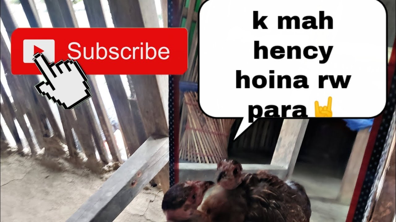 k mah hency hoin rw para ️| Short vlog| Kerabari morang - YouTube