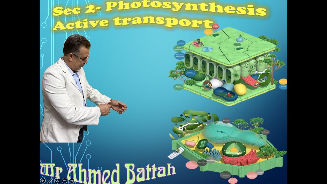 2nd - summary Session 2 -term1 - YouTube