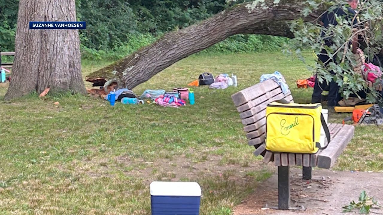 Tree limb falls on children at Norwood summer camp - YouTube