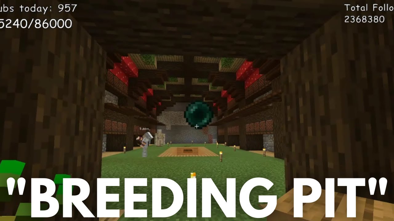 Tubbo and Ranboo improve the Breeding Pit - Origins SMP - YouTube