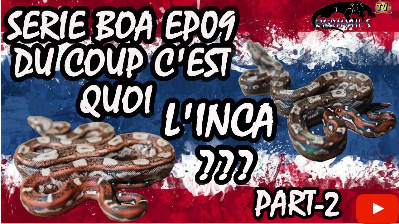 Série Boa -Ep09- C'est quoi l'inca en fait ?? [Part2] - YouTube