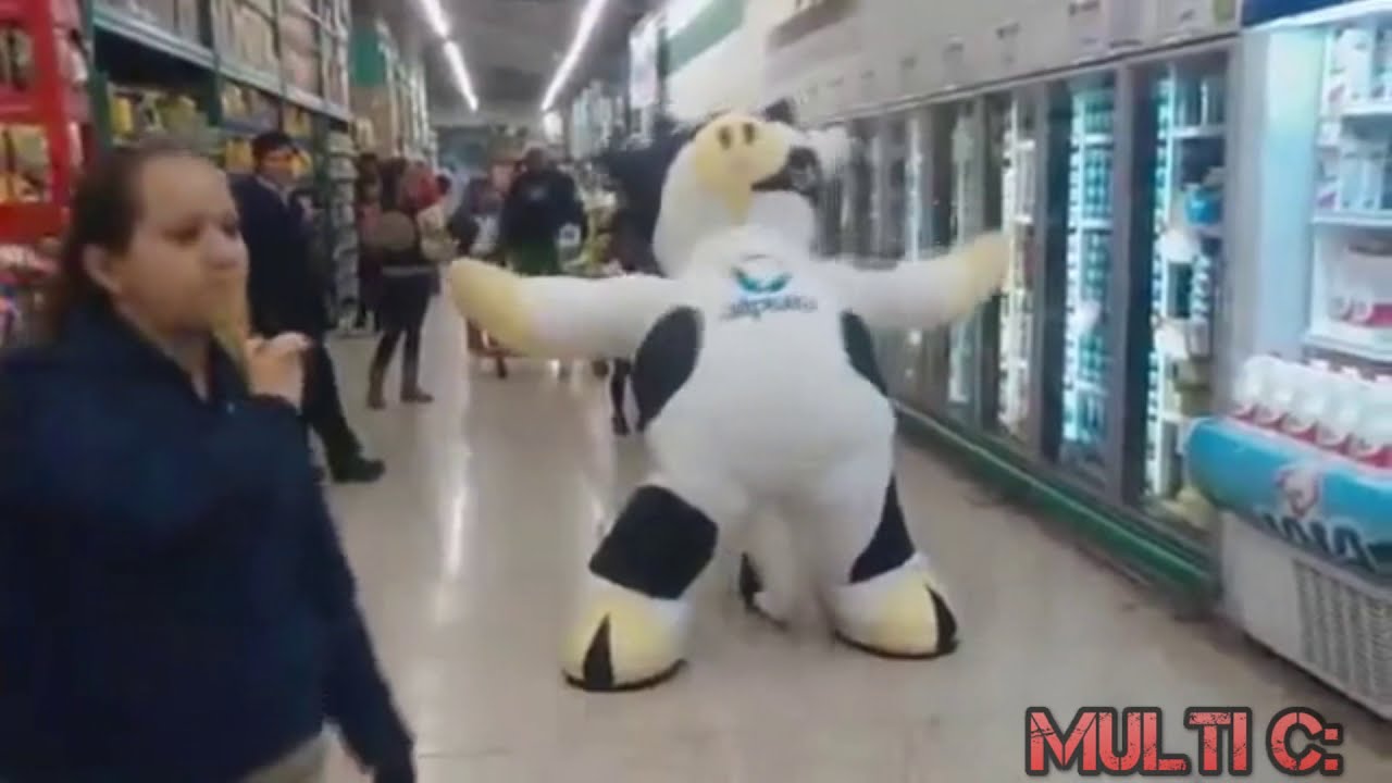 Vaca polaca bailando pero con alta facha (Polish Cow Costume dance ...