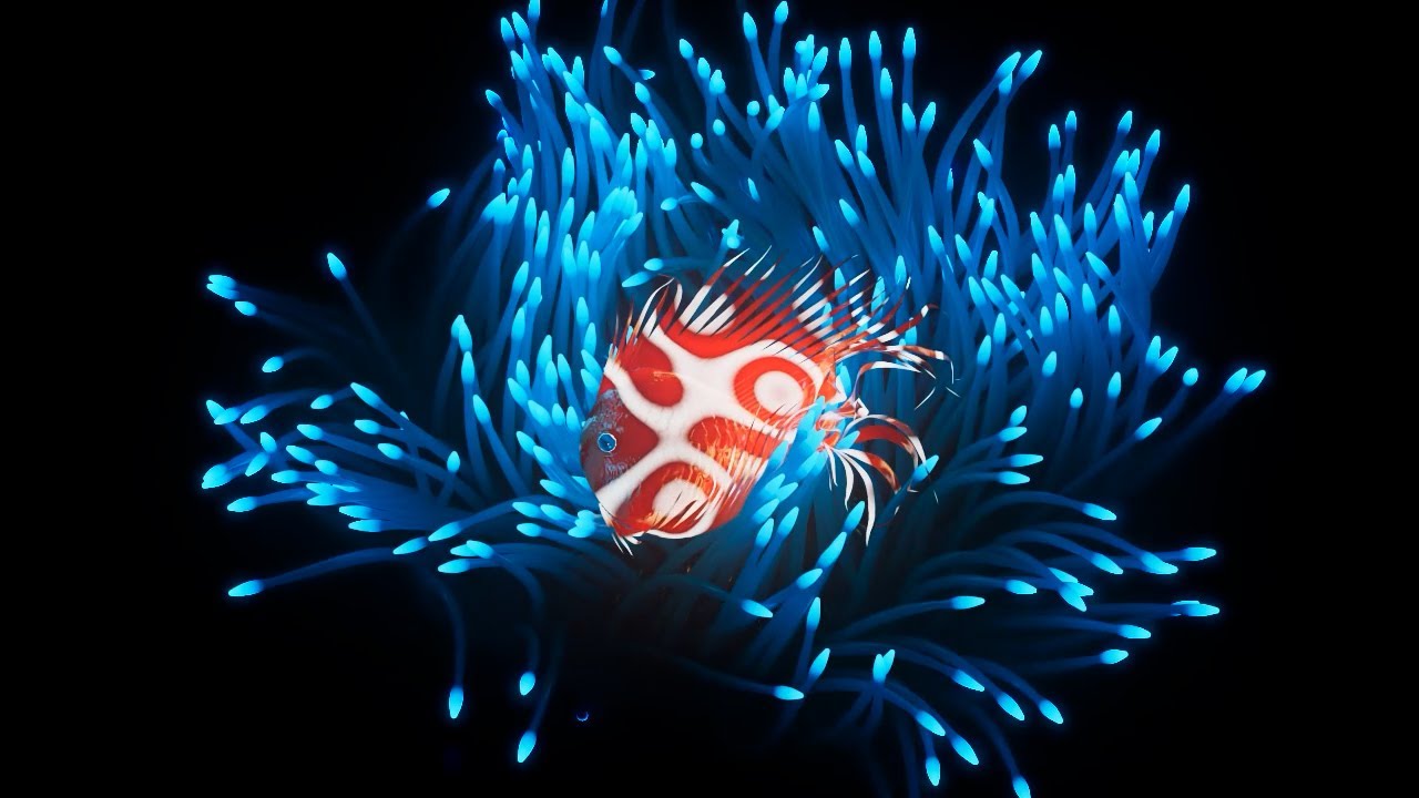 Houdini: Sea Anemone and Clown Fish - YouTube