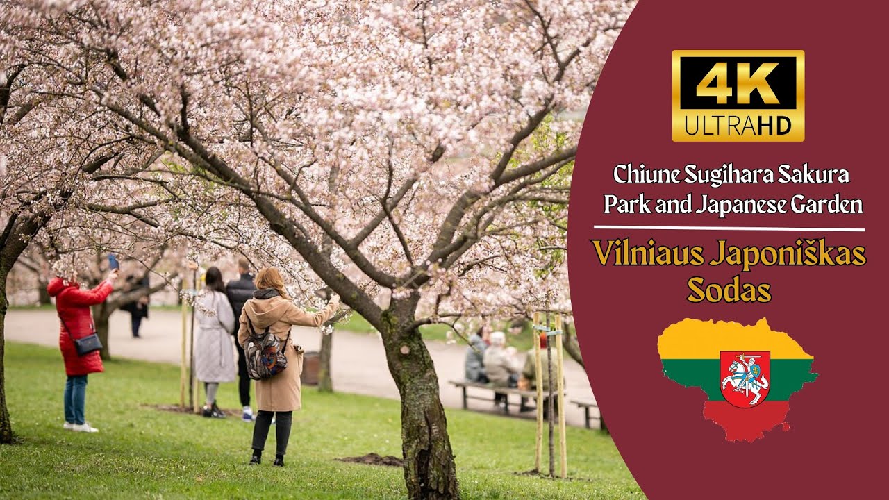 Walk in Chiune Sugihara Park and Japanese Garden - Vilniaus Japoniškas ...
