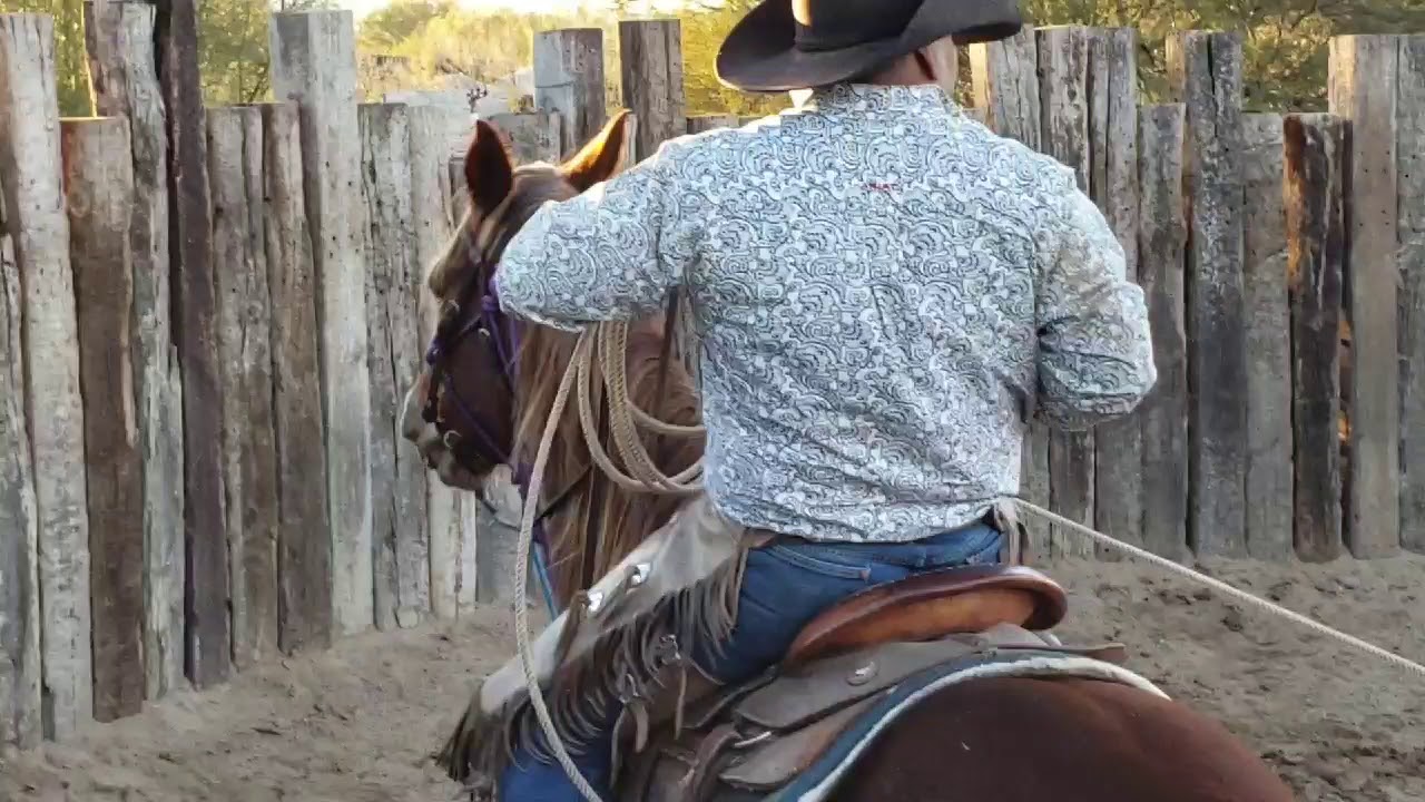 Rain roping at good Shepherd ranch - YouTube