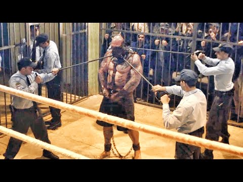Undisputed (2019) Film Explained in Hindi Summarized हिन्दी