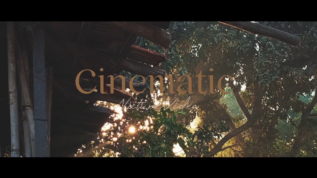 Cinematic Nature Video | Relaxing Nature Video | Shot On Realme - YouTube