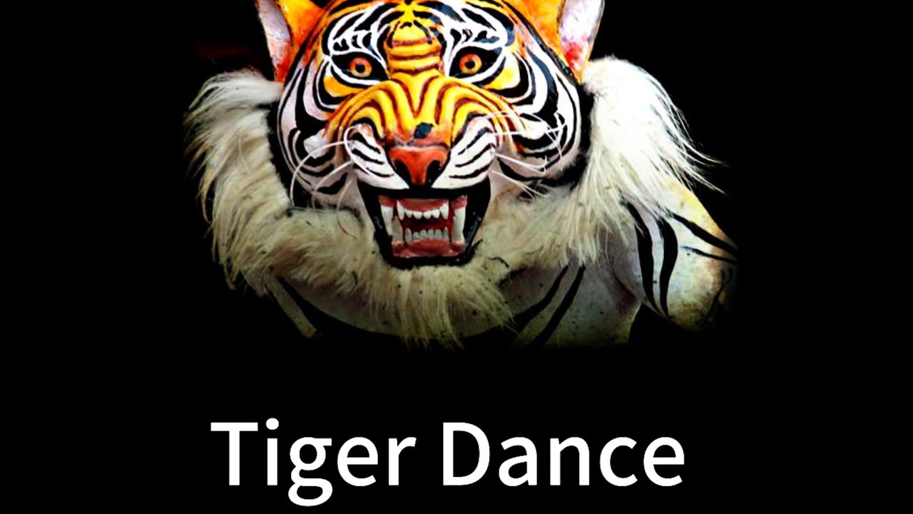 Tiger Dance in Brahmavara, Udupi (MindSplice_S) #tigerdance #thulunadu ...