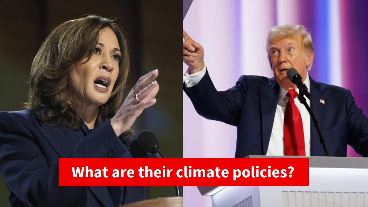 Here’s what we know about Trump & Harris’ stances on climate | Project ...