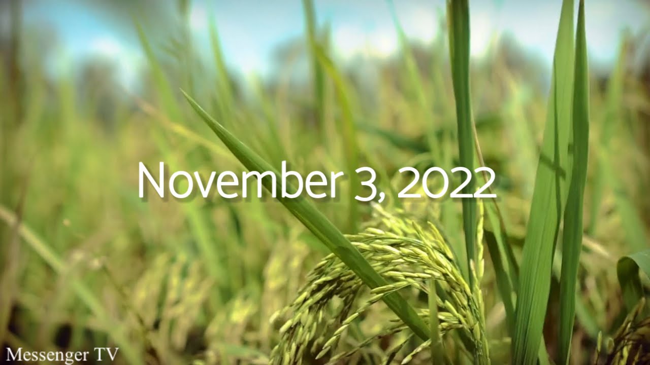 Today’s Bible Verse | November 3, 2022 | Bible Reading Today ...