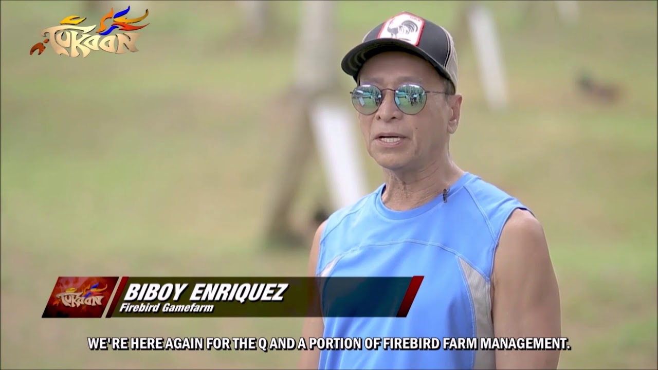 Solar Power Testimonial by Biboy Enriquez of Firebird Gamefarm ...