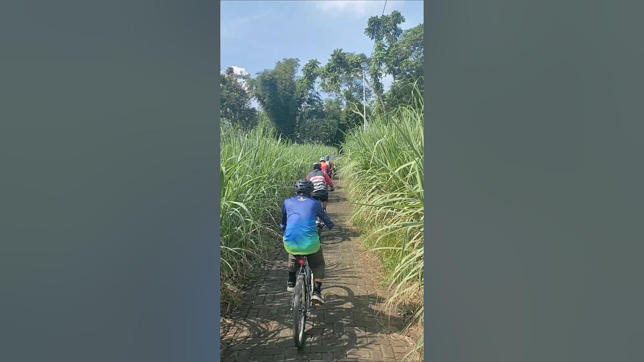 Gowes Blusukan #shorts #shortsvideo #shortvideo - YouTube