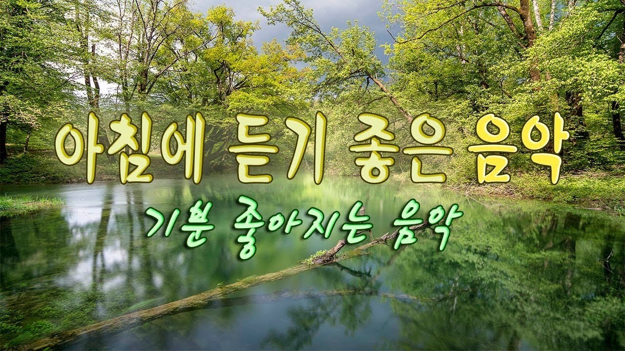 내 마음을 녹이는 뉴에이지 연주곡🌲하루10분 만병을 치료 해주는 힐링 명상 기치료 음악 및 영상 아침명상음악 아침음악