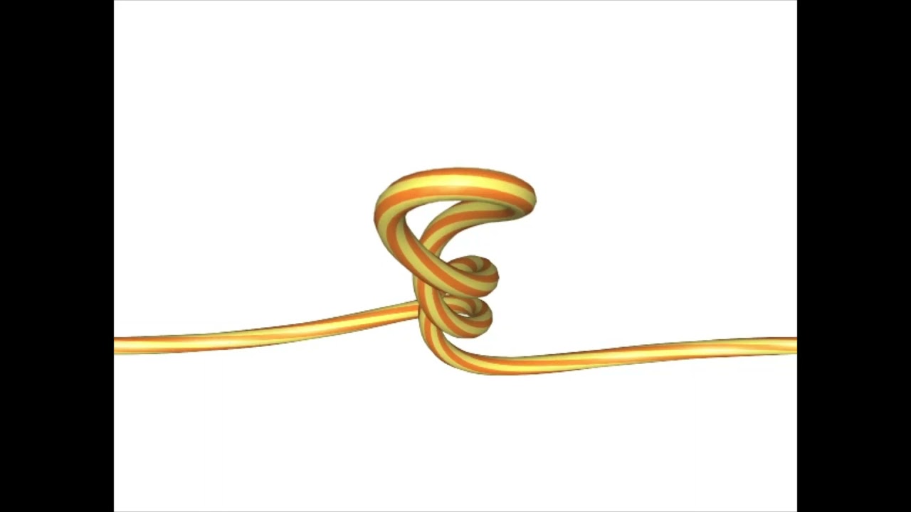 Plectoneme Formation - YouTube