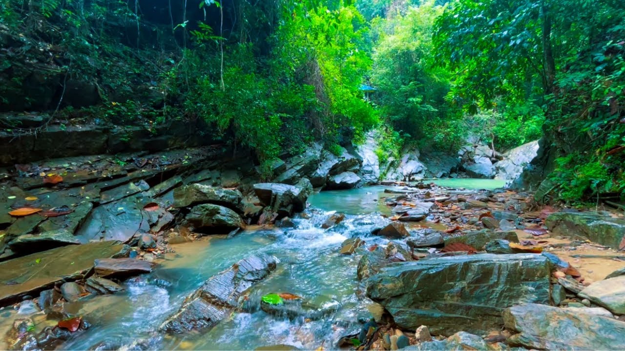 Healing Horizon – Soft Stream for Energy Cleansing & Relaxation - YouTube