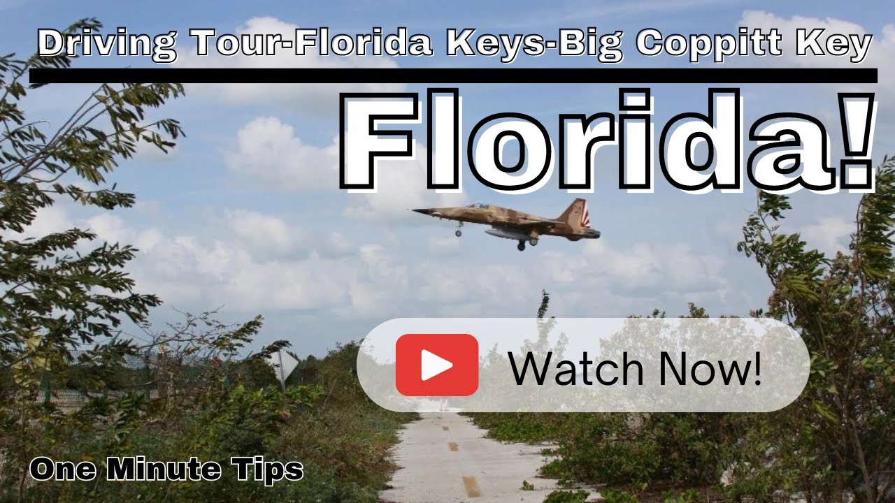 DRIVING TOUR-FLORIDA KEYS-BIG COPPITT KEY FLORIDA!-Destinations-# ...
