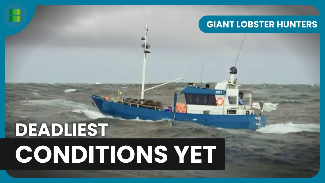 The Deadliest Waters Yet | Giant Lobster Hunters | Documentary - YouTube